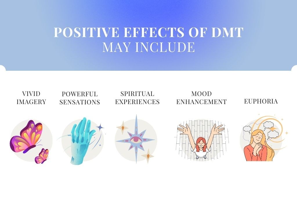 DMT Substance Guide Psychedelic Support · Psychedelic Support