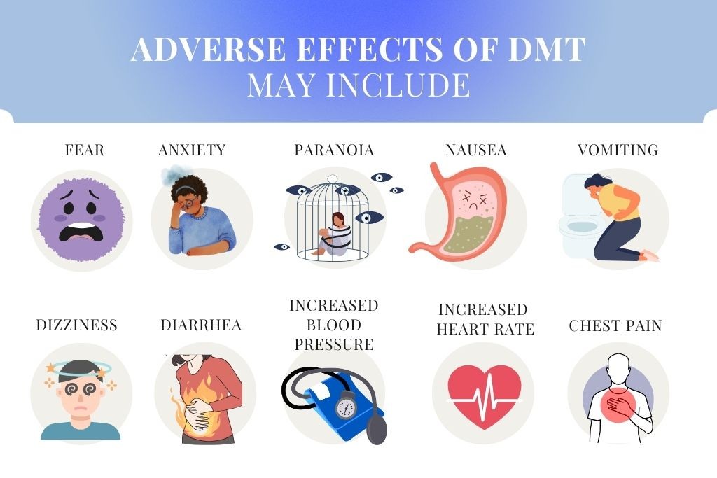 DMT Substance Guide Psychedelic Support · Psychedelic Support