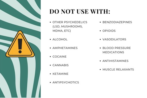 DMT Substance Guide Psychedelic Support · Psychedelic Support
