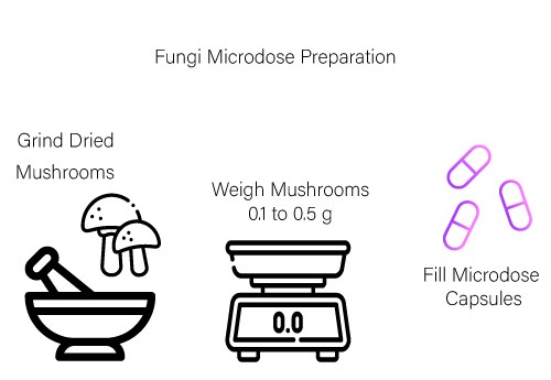 Microdosing: Myth, Magic, or a Molecular Mechanism? · Psychedelic Support