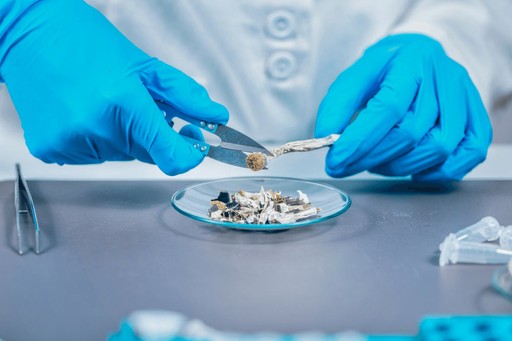 How to Take Shrooms Safely Psychedelic Support · Psychedelic Support