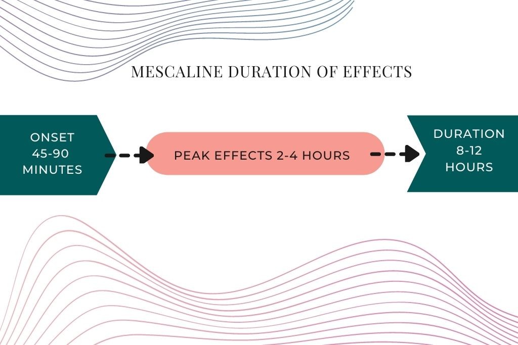 Mescaline Substance Guide - Psychedelic Support · Psychedelic Support