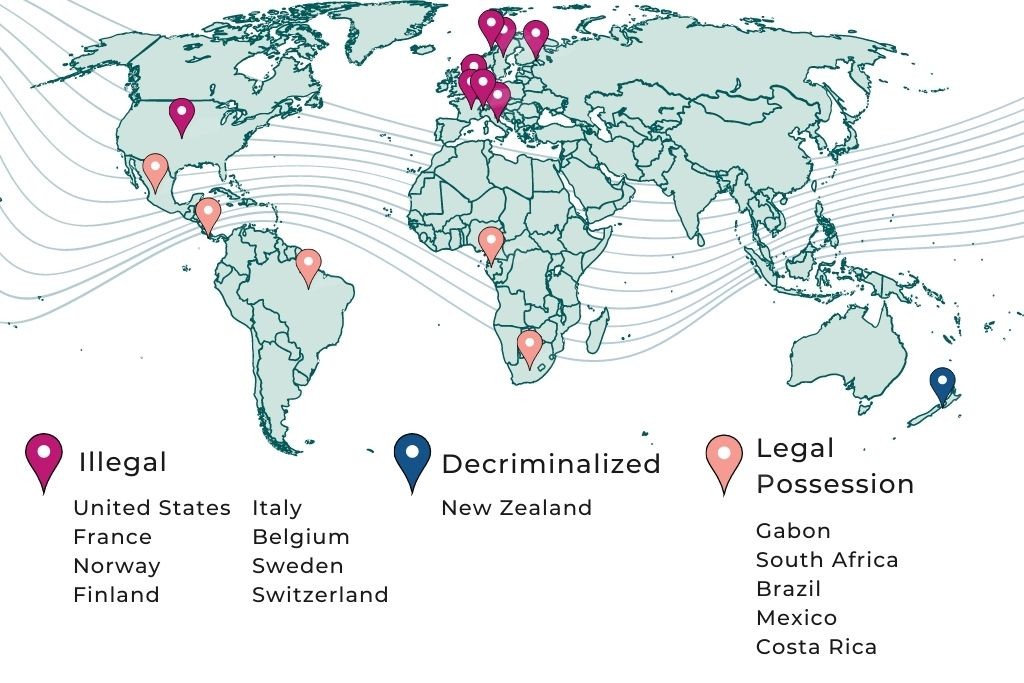 Ibogaine Substance Guide Psychedelic Support · Psychedelic Support