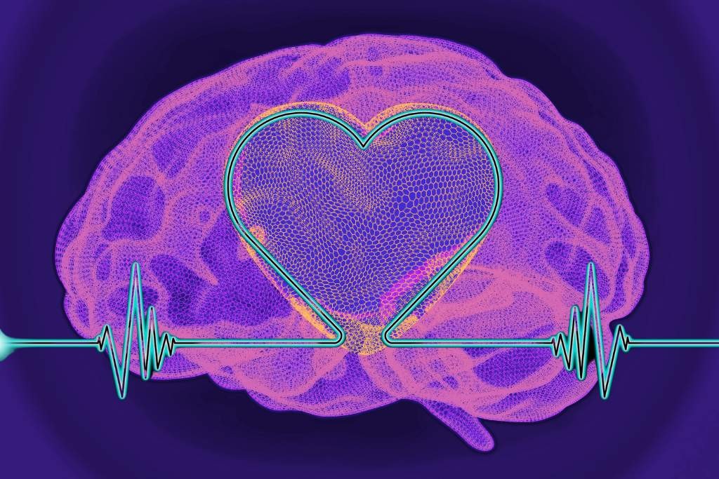 Heart Rate Variability And Psychedelics Enhancing Well Being