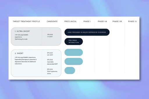 DMT Substance Guide Psychedelic Support · Psychedelic Support