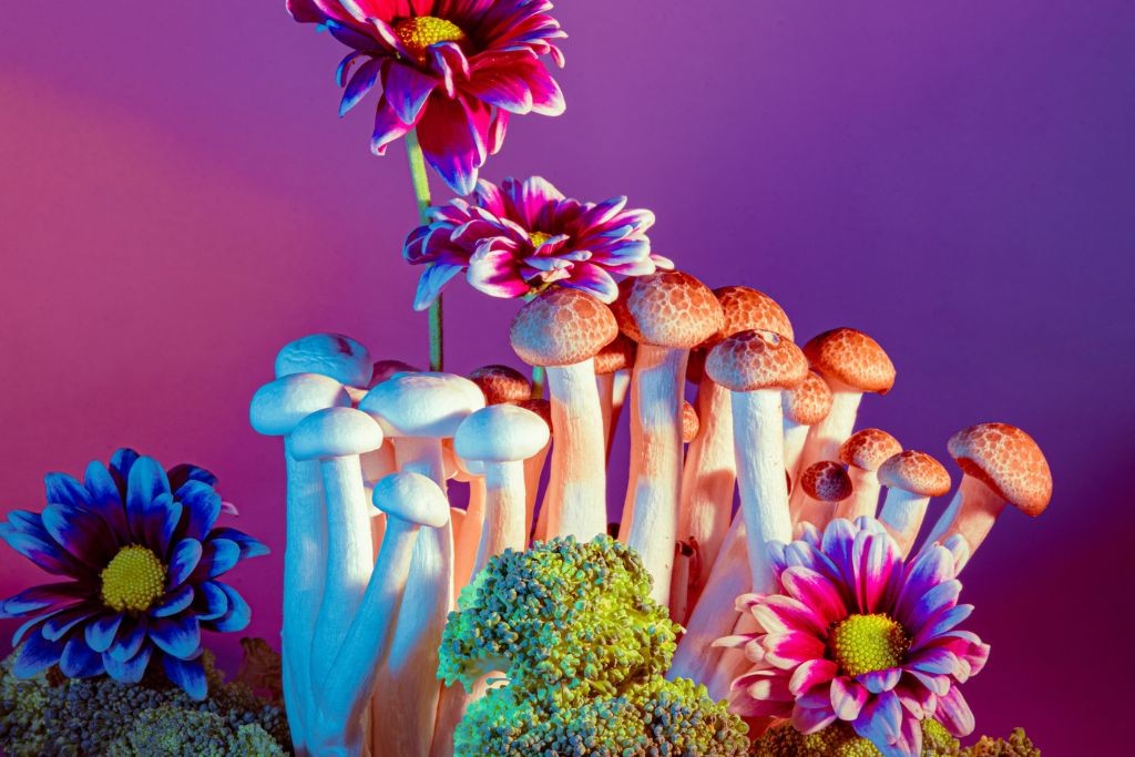 Hallucinogen Persisting Perception Disorder & Psychedelic Anxiety ...