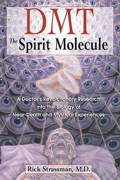 Psychedelic Literature: Top 10 Books About Psychedelics · Psychedelic ...