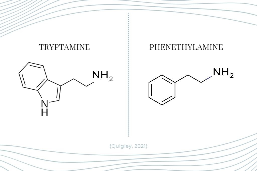 DMT Substance Guide Psychedelic Support · Psychedelic Support