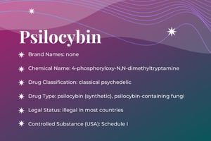 Psilocybin-Assisted Therapy Guide Psychedelic Support - Psychedelic ...