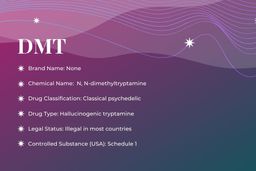 DMT Substance Guide Psychedelic Support · Psychedelic Support