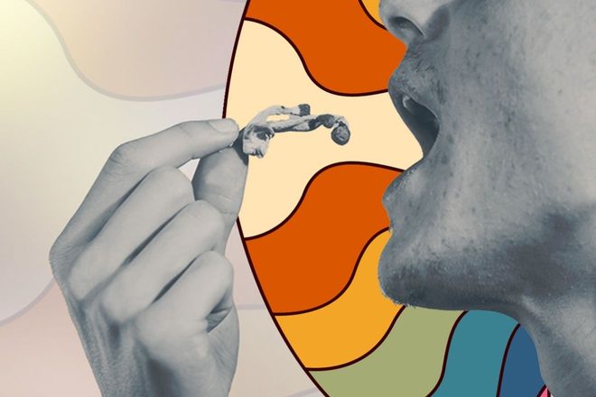 Microdosing Psychedelics: Where Does the Research Stand? Psychedelic ...