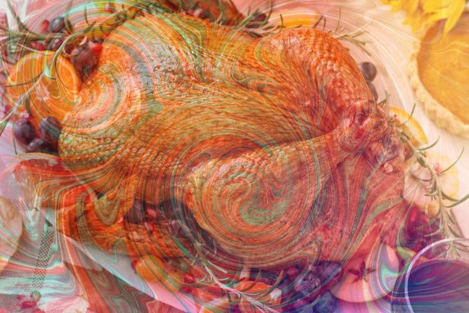 Turkey and Tripping: How to Talk to Your Family about Psychedelics ...