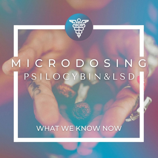 Microdosing Psilocybin & LSD: What We Know So Far · Psychedelic Support