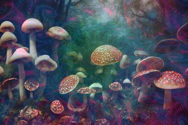 Hallucinogen Persisting Perception Disorder & Psychedelic Anxiety ...