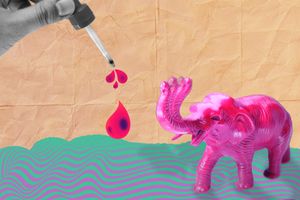 The Microdose Elephant in the Room Psychedelic Support · Psychedelic ...