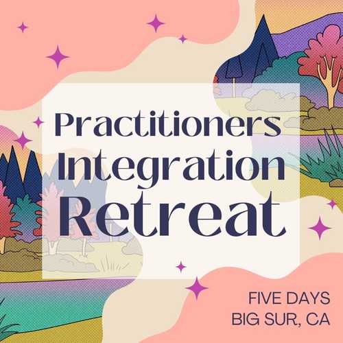 Integration Intensive Retreat · Psychedelic Support